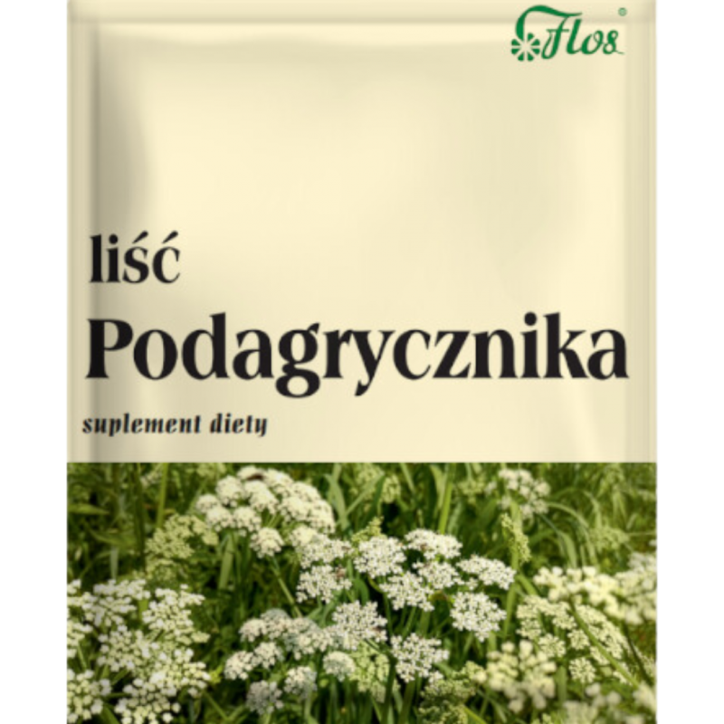 PODAGRYCZNIK pospolity (Aegopodium podagraria L.). Leksykon ziół