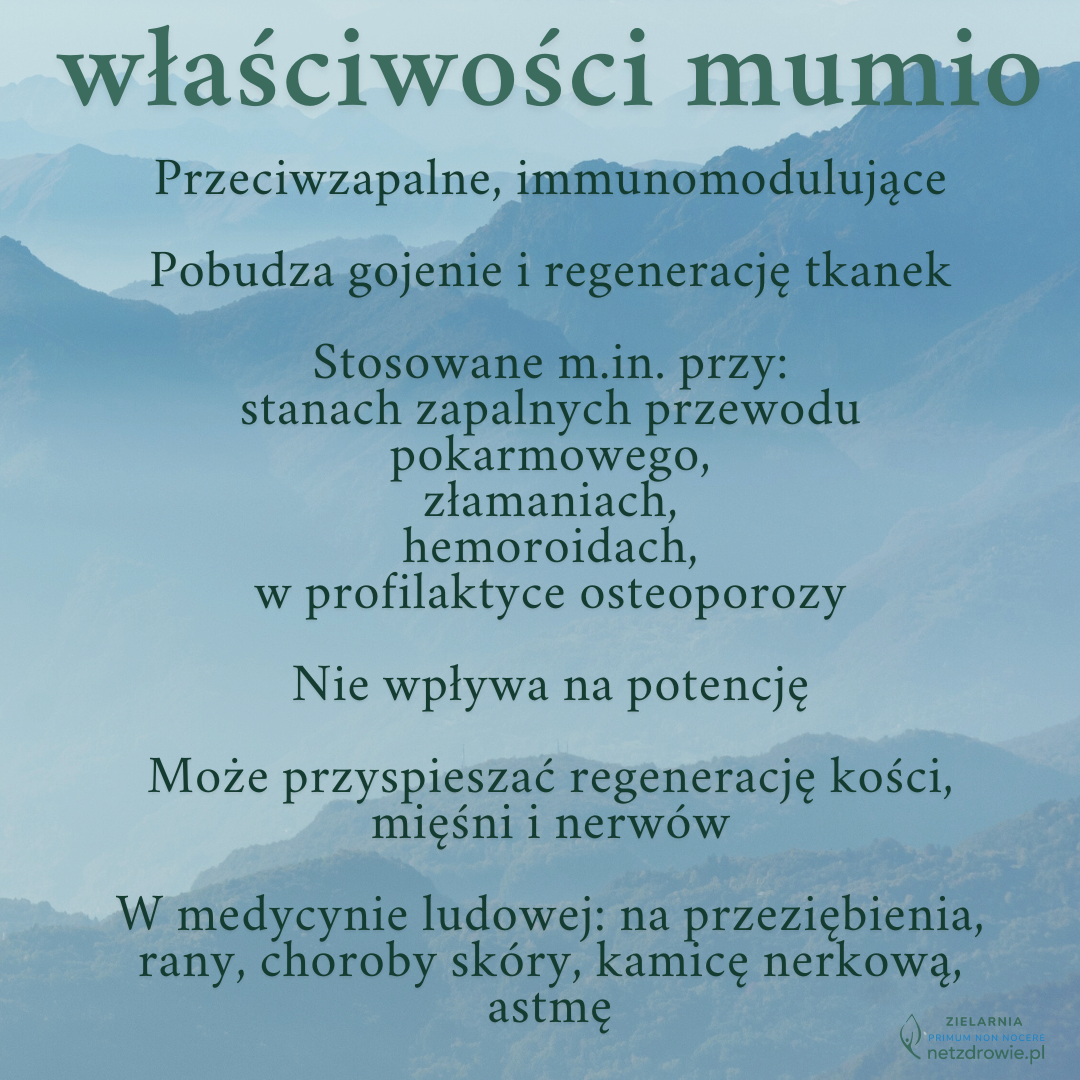 Mumio, czyli shilajit – naturalny "superprodukt" z górskich skał